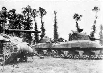 THE ROLE OF THE SERVICE UNITS